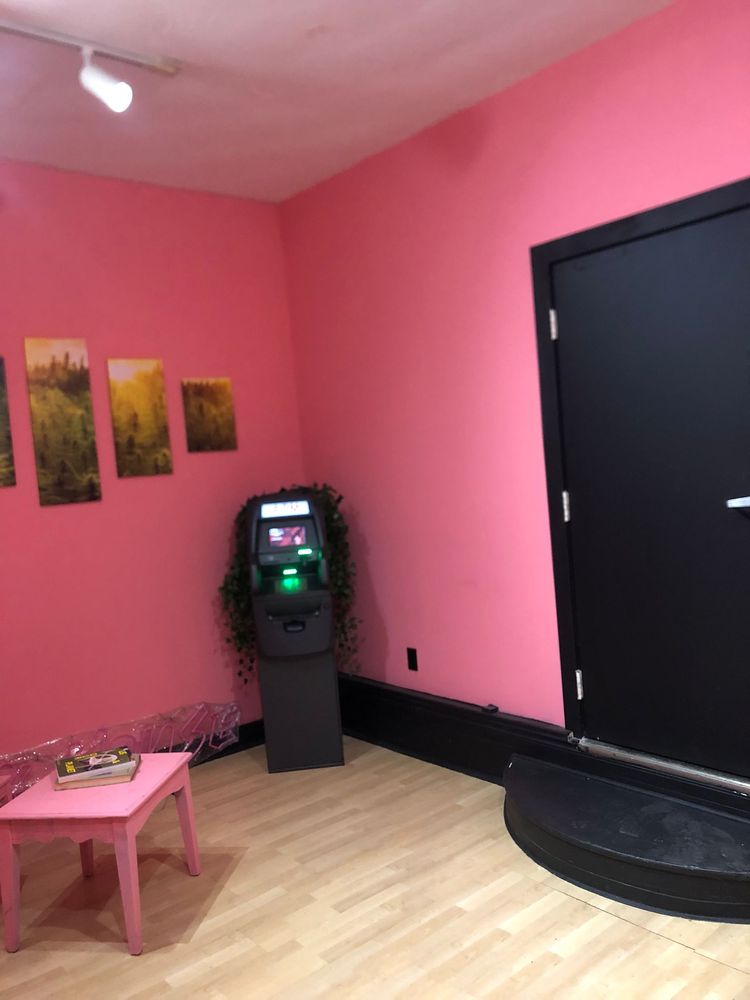 PINK HOUSE - Updated April 2025 - 696 Lansdowne Avenue, Toronto ...