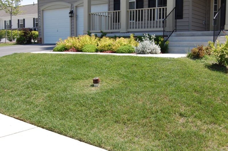 PRO-LAWN-PLUS INC - Updated August 2025 - 1406 Shoemaker Rd, Baltimore ...