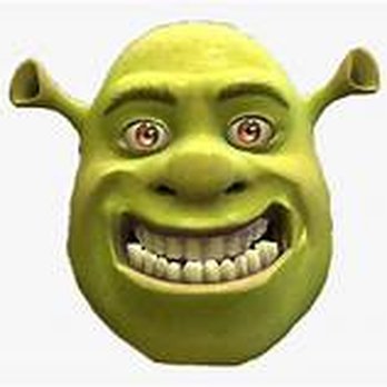 ILEAD SPRING MEADOWS - Updated November 2024 - 1615 Timberwolf Dr ...