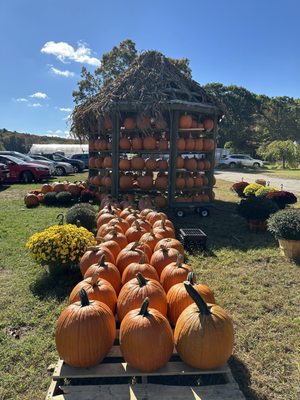 GOODWIN BROS FARM STAND - Updated December 2025 - 14 Photos & 11 ...