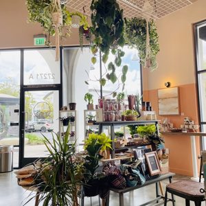 HIGH TIDE COFFEE - 135 Photos & 133 Reviews - 27271 La Paz Rd, Laguna ...
