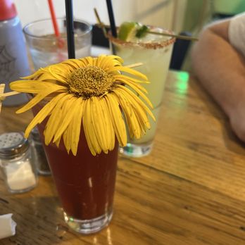 XOLO TACOS - Updated January 2025 - 119 Photos & 143 Reviews (4.6 stars ...