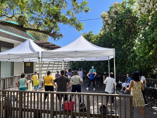 MIRALESTE BRANCH LIBRARY - Updated December 2025 - 44 Photos & 20 ...