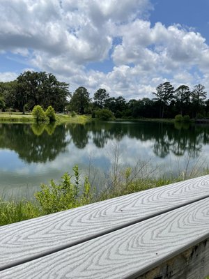 PEDRICK POND PARK - Updated December 2025 - 59 Photos - 1583 Pedrick Rd ...