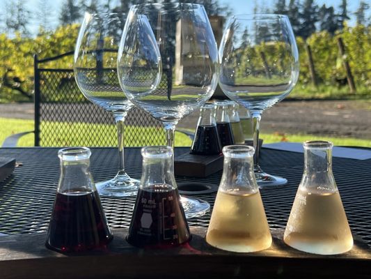 HAMACHER WINES - Updated September 2025 - 36 Photos & 22 Reviews ...