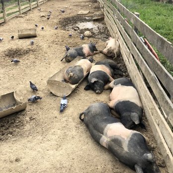 FRYING PAN FARM PARK - Updated March 2025 - 357 Photos & 96 Reviews ...