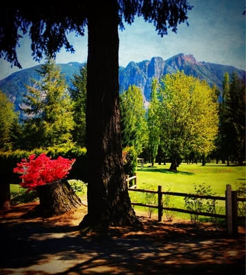 MOUNT SI GOLF COURSE - 16 Photos & 33 Reviews - 9010 Boalch Ave SE ...