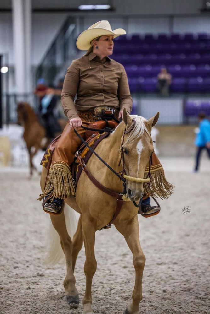 SUN VALLEY ARABIANS - Updated May 2026 - 29 Photos - 6401 Fulton Mill ...