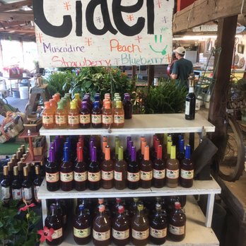 EFURD ORCHARDS - Updated July 2025 - 58 Photos & 35 Reviews - 4004 Hwy ...