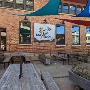 OFF COLOR BREWING - MOUSETRAP - 265 Photos & 161 Reviews - 1460 N ...