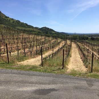 SHAFER VINEYARDS - Updated September 2025 - 176 Photos & 49 Reviews ...