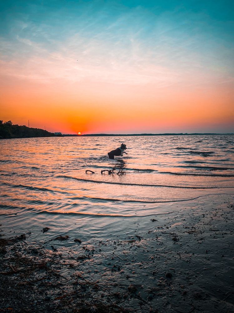 REDNECK RIVIERA - Updated August 2024 - 29 Photos & 26 Reviews - 1 ...