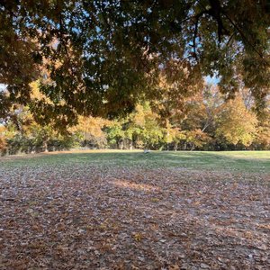 DAVIS MUNICIPAL GOLF COURSE - Updated October 2025 - 22 Photos & 42 ...