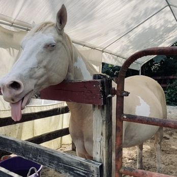 HAPPI FARM - Updated November 2024 - 357 Photos & 134 Reviews - 10251 ...