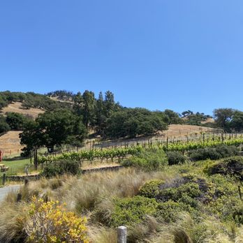 NICHOLSON RANCH WINERY - Updated December 2024 - 523 Photos & 358 ...