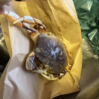 ALIOTO LAZIO FISH COMPANY - Updated September 2025 - 73 Photos & 96 ...