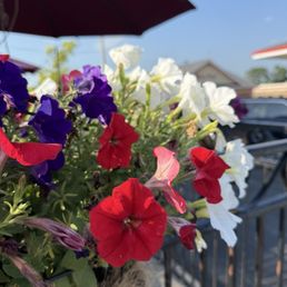 NUPA MEDITERRANEAN CUISINE - Updated December 2025 - 178 Photos & 417 ...