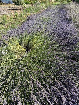 ZINC HOUSE FARM - Updated May 2024 - 15 Photos & 10 Reviews - 20679 CA ...