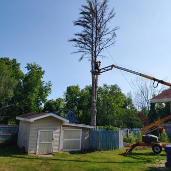HAMMOND TREE SERVICE - Updated October 2025 - Traverse City, Michigan ...