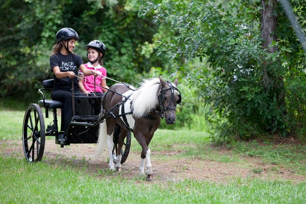 AVALON STABLES - Updated January 2026 - 44 Photos - 18029 Lake ...