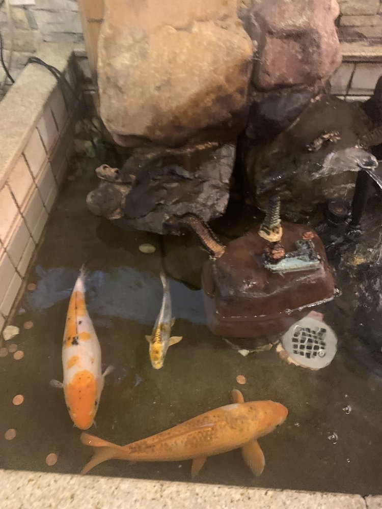 CHINA SUN BUFFET - 56 Photos & 176 Reviews - Chinese - 4331 Bethel Rd ...