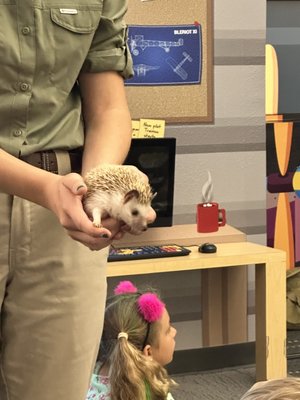 SAN BERNARDINO COUNTY LIBRARY - CHINO BRANCH - Updated August 2025 - 26 ...