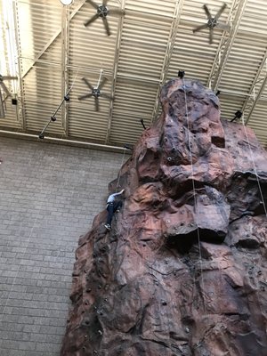 FREESTONE RECREATION CENTER - 24 Photos & 47 Reviews - 1141 E Guadalupe ...