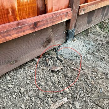 REUBEN BORG FENCE - 702 Photos & 917 Reviews - 2415 San Ramon Valley ...