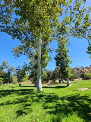 GRIFFITH MANOR PARK - Updated June 2025 - 34 Photos & 20 Reviews - 1551 ...