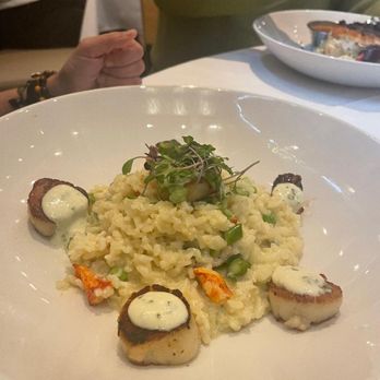 NOVARA RESTAURANT - Updated July 2024 - 445 Photos & 414 Reviews - 556 ...