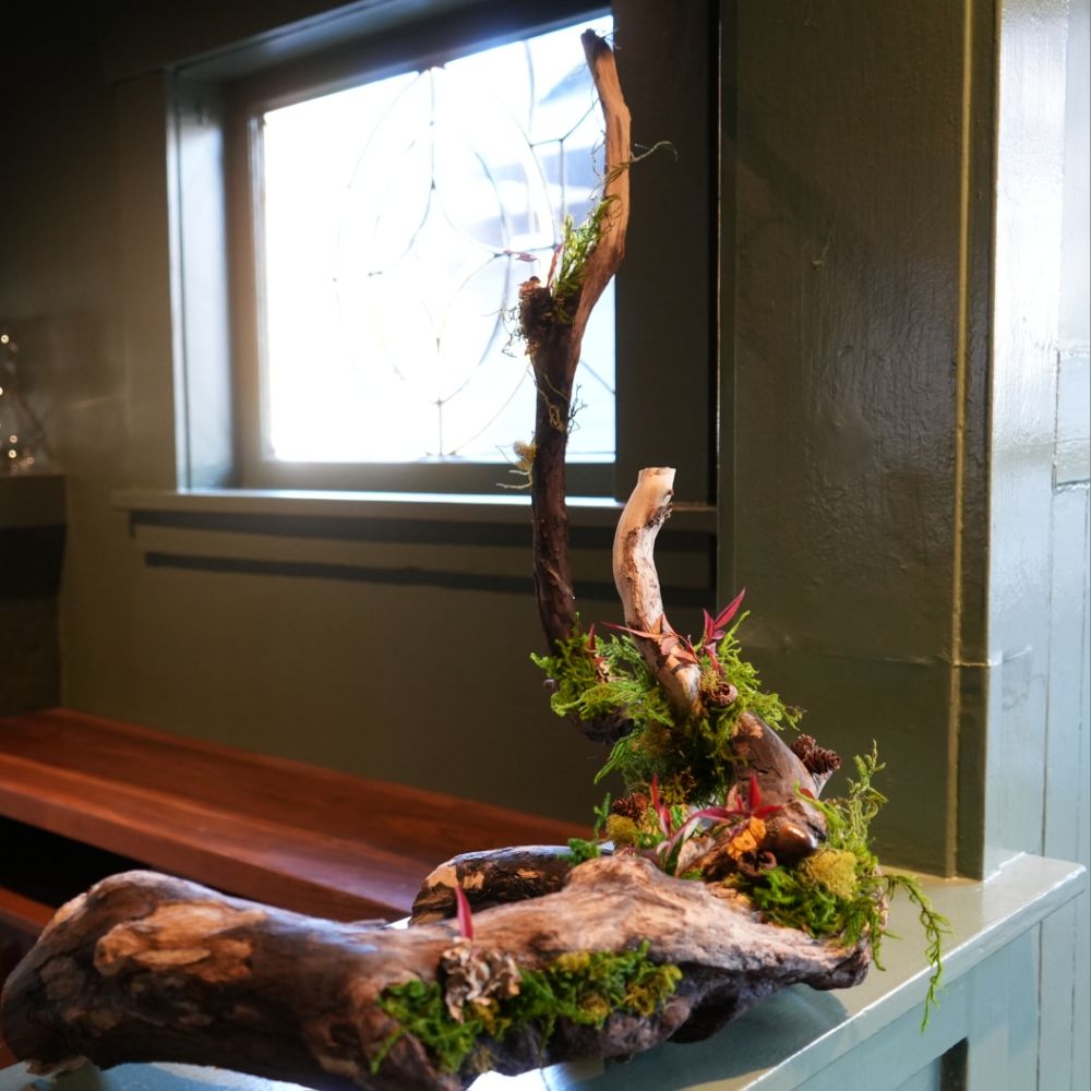 ATOMIC FLORA - Updated August 2025 - 15 Photos - 3417 Evanston Ave N ...