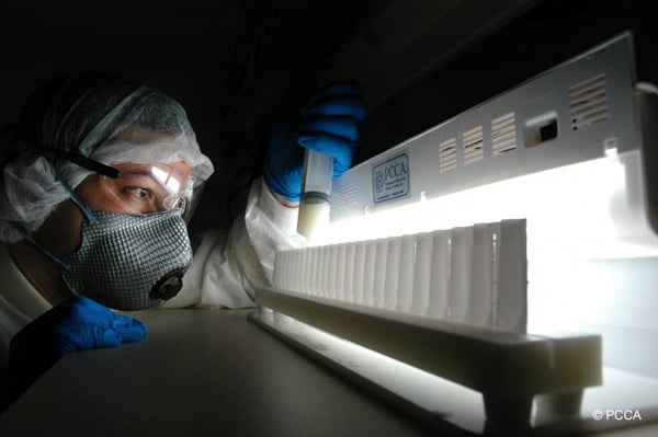 PARTELL PHARMACY - Updated December 2025 - 26 Photos & 128 Reviews ...