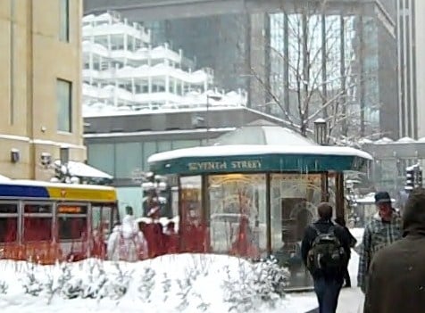 NICOLLET MALL - Updated May 2024 - 62 Photos & 37 Reviews - 555 ...