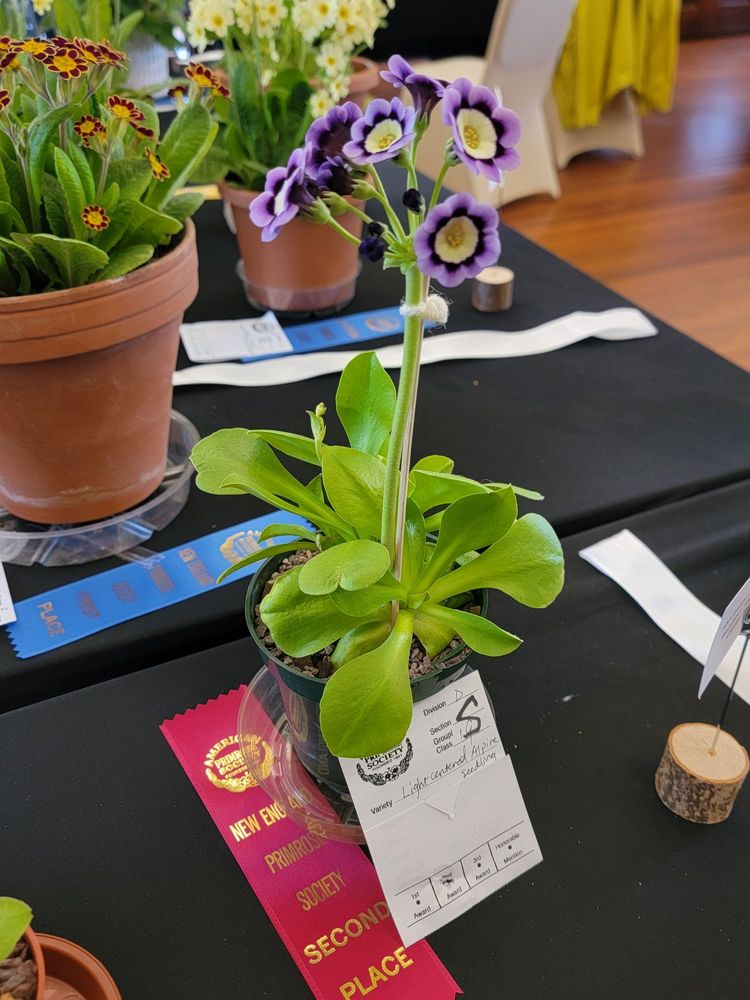 LITTLE COMPTON COMMUNITY CENTER - Updated October 2025 - 34 Commons ...