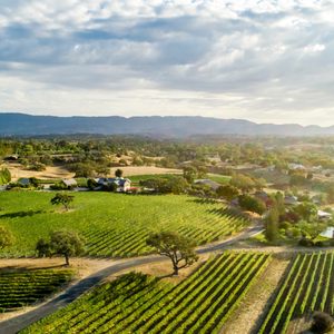 ALMA ROSA WINERY AND VINEYARDS - 126 Photos & 177 Reviews - Wineries ...