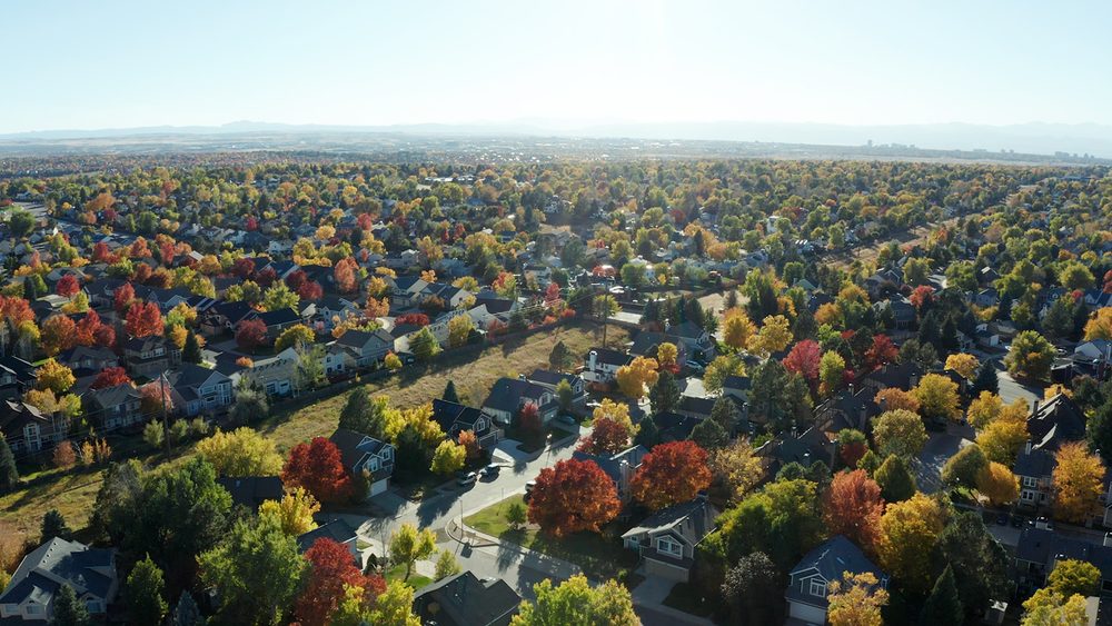 EVOLVE TREE EXPERTS - Updated October 2025 - 29 Photos & 24 Reviews - Denver, Colorado - Tree ...