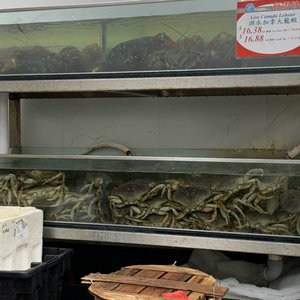 BESTCO FOOD MART - Updated December 2025 - 293 Photos & 56 Reviews ...