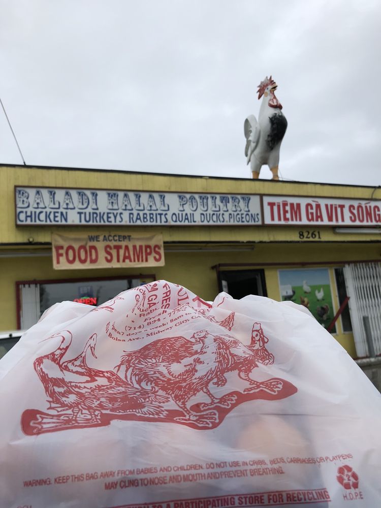 BALADI POULTRY - 38 Photos & 35 Reviews - 8261 Bolsa Ave, Midway City ...