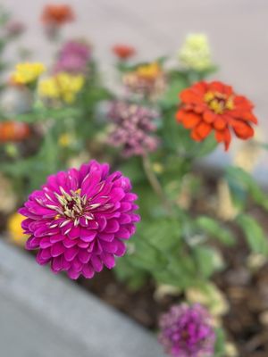 SACRAMENTO PUBLIC LIBRARY - NORTH NATOMAS - Updated August 2025 - 64 ...