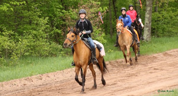 THUNDERHORSE - Updated December 2025 - 15 Photos - 4418 W Cedar Creek ...