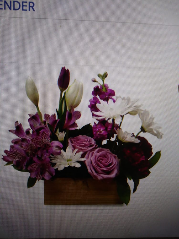 TCU FLORIST - Updated July 2024 - 204 Photos & 50 Reviews - 3131 S ...