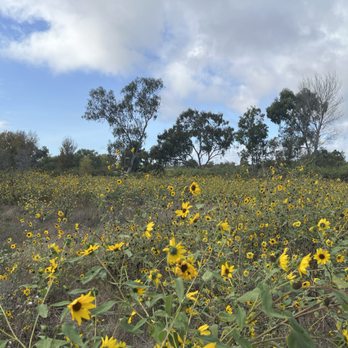 MADRONA MARSH PRESERVE AND NATURE CENTER - Updated December 2025 - 350 ...