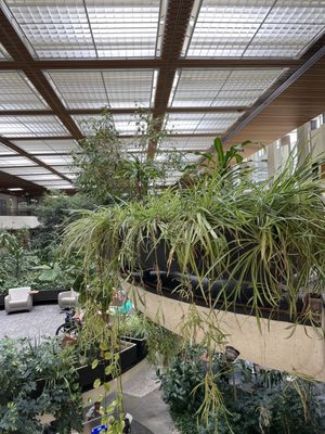 DOWNTOWN RENO LIBRARY - Updated October 2025 - 86 Photos & 39 Reviews ...