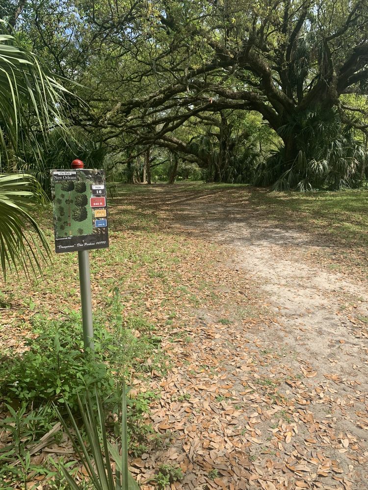 CITY PARK DISC GOLF COURSE - 26 Photos - 1 Palm Dr, New Orleans ...
