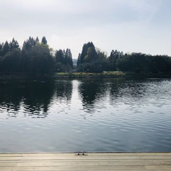 LAKESIDE COFFEE BAR - Updated June 2025 - 208 Photos & 72 Reviews ...