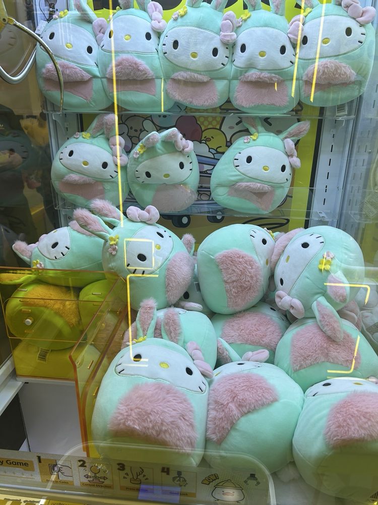 Duck, Eagan | Roadtrippers