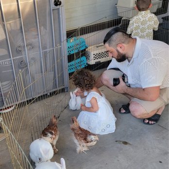 CRITTER SQUAD WILDLIFE DEFENDERS - Updated October 2025 - 166 Photos ...