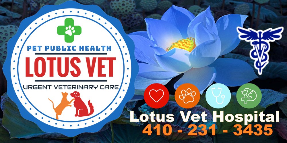 LOTUS VETERINARY HOSPITAL - Updated December 2025 - 19 Reviews - 1727 ...