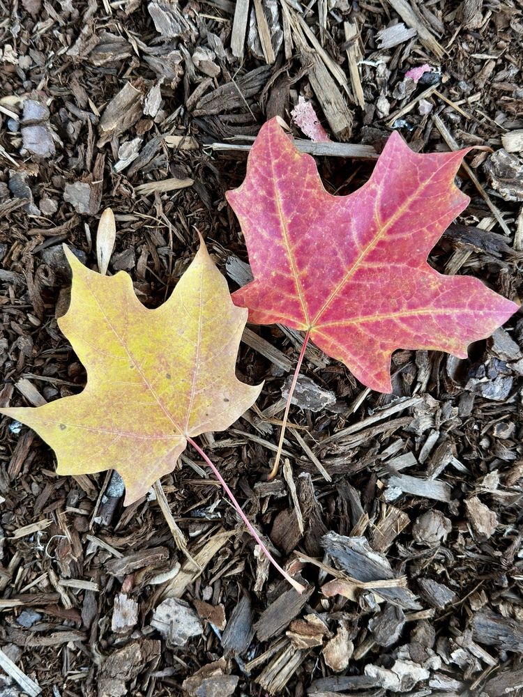 GORDON FAMILY YMCA - Updated December 2025 - 35 Photos & 62 Reviews ...