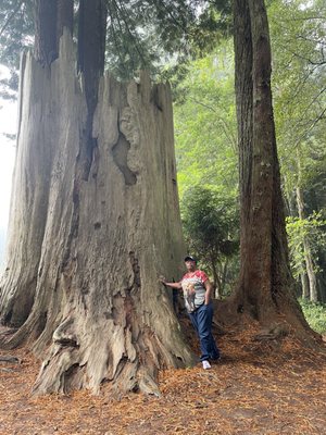 REDWOOD PARK - Updated October 2025 - 55 Photos & 29 Reviews - East ...
